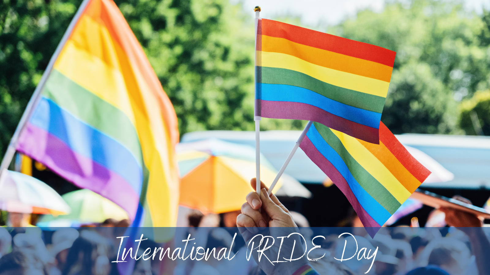 How is International IDEA celebrating Pride Month